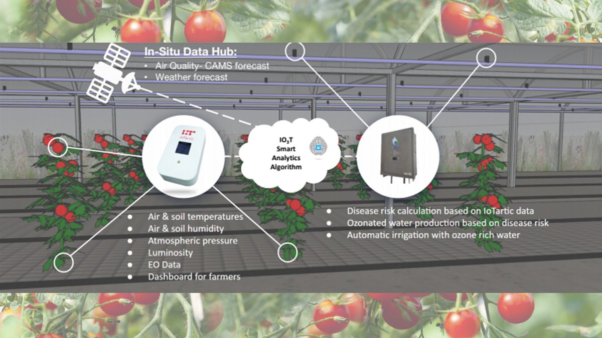 WINNERS - Parsec Accelerator