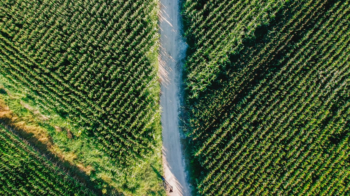 WINNERS - Parsec Accelerator